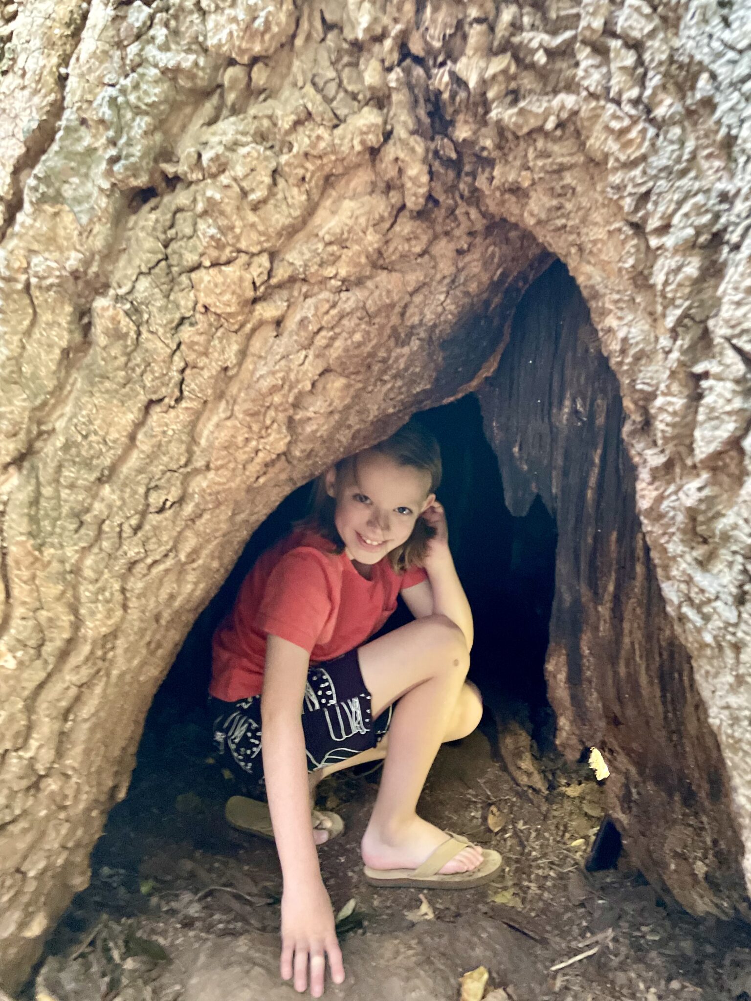 Wing Haven: Connecting Community to Nature - Outdoorosity