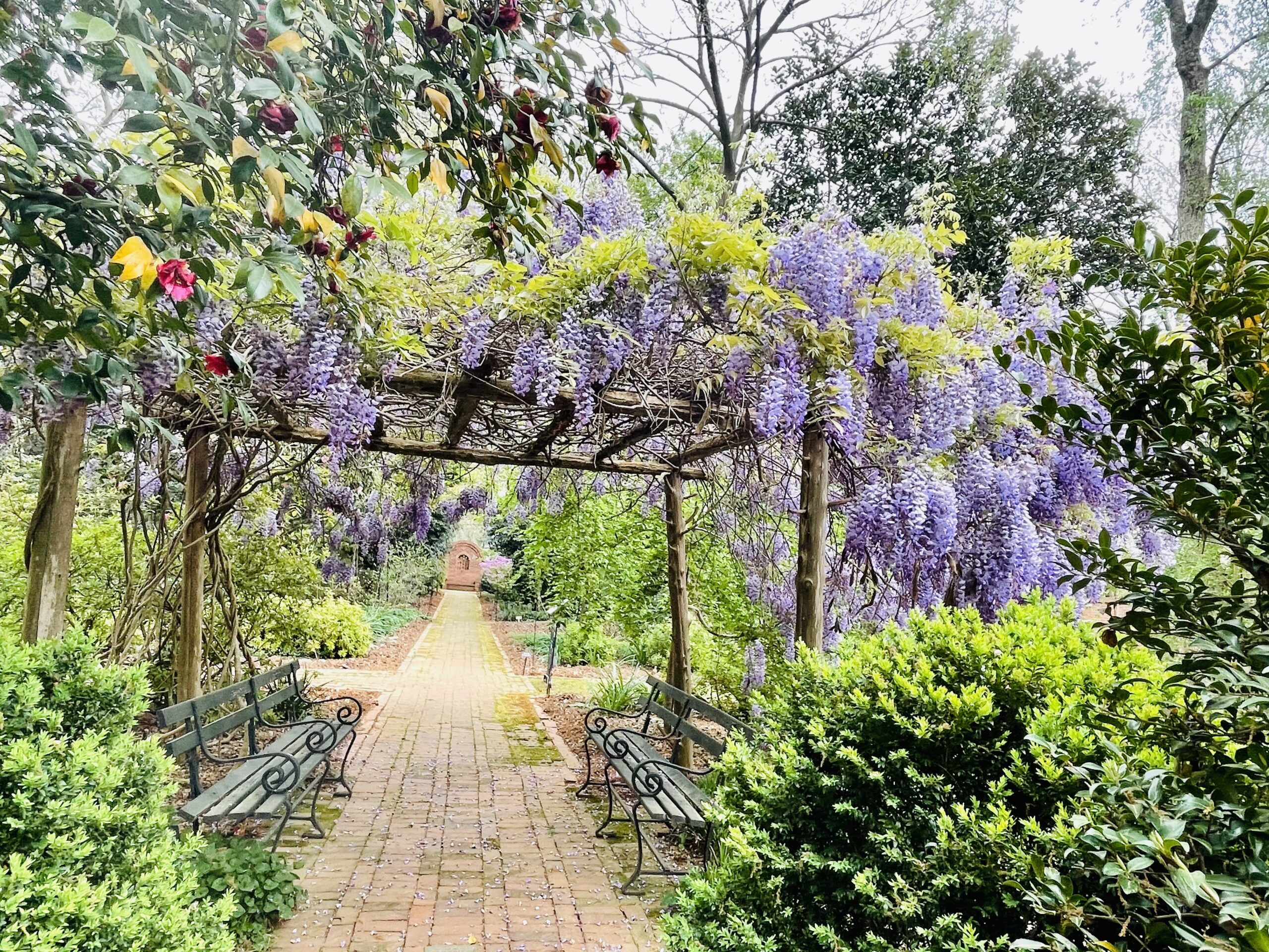 Wing Haven: Connecting Community to Nature - Outdoorosity