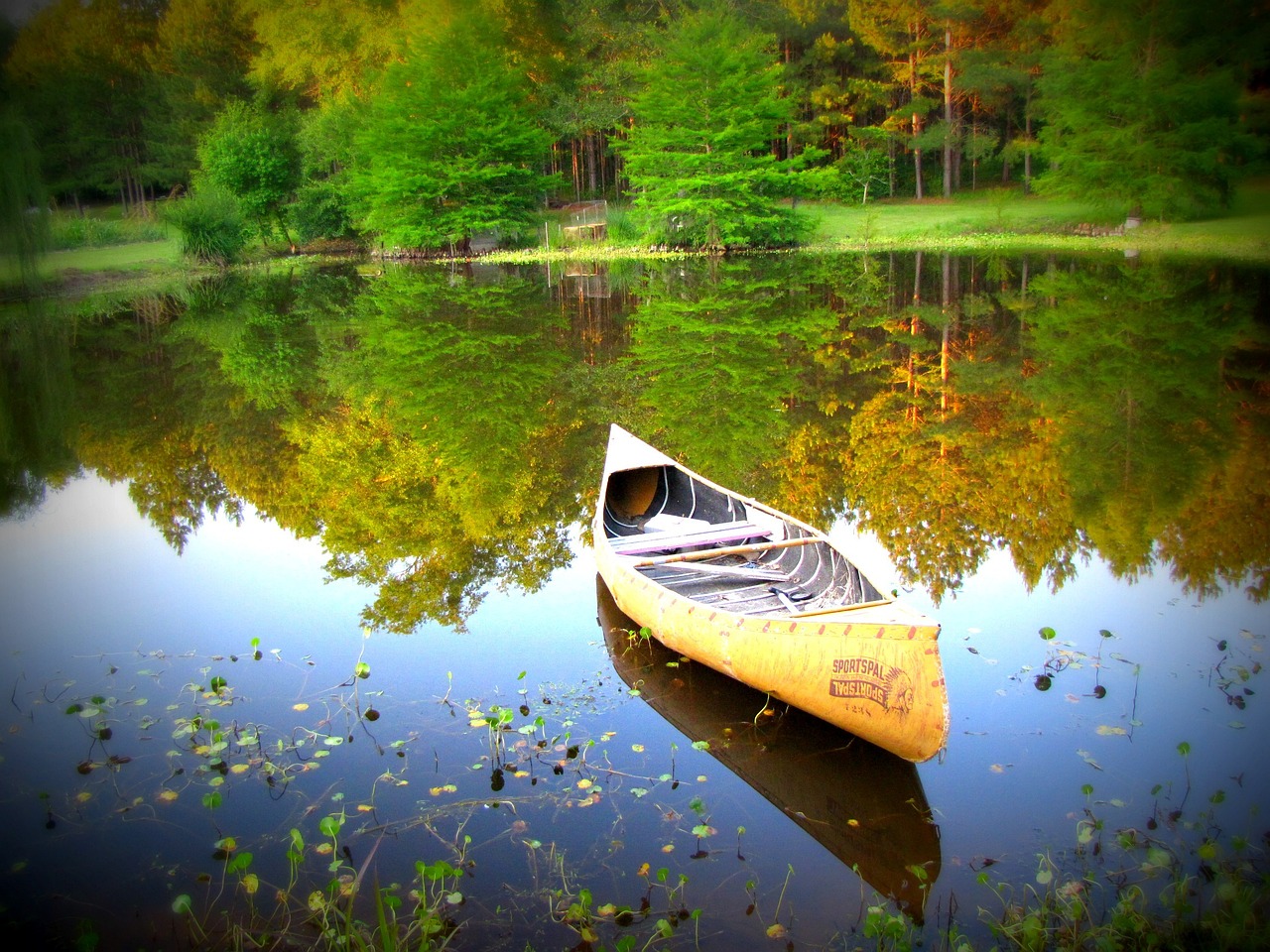 Welcome, Summer! 18 Best Summer Activities To Do With Your Kids ...