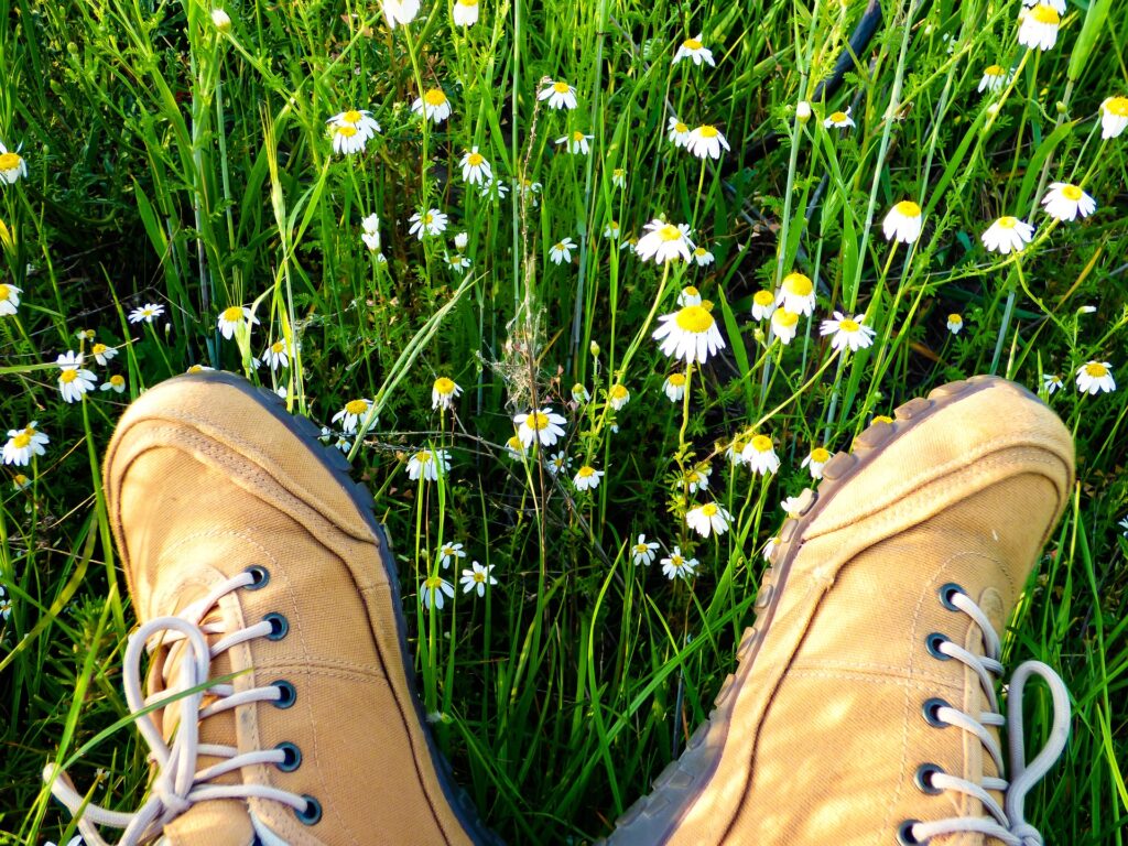 40 Fun Ideas to Welcome Spring! - Outdoorosity